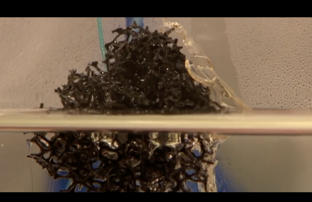 The tiny sponge that could make a big impact on spotting cancer early ...